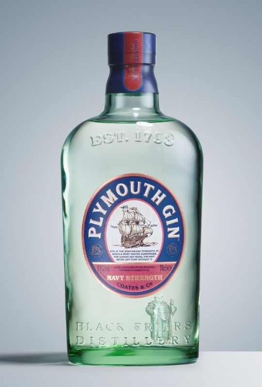 Plymouth Gin: A Bottle that Fell from the Pocket of a 19th-Century ...
